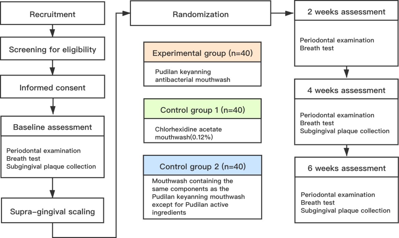 Effect of Pudilan Keyanning antibacterial mouthwash on dental plaque ...