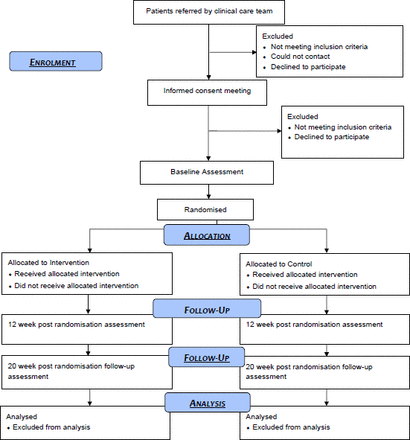 Use of a targeted, computer/web-based guided self-help psychoeducation ...