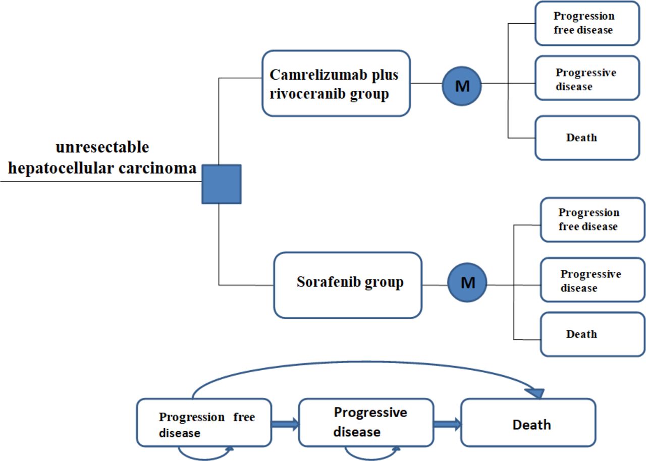 Camrelizumab plus rivoceranib compared sorafenib as first-line ...