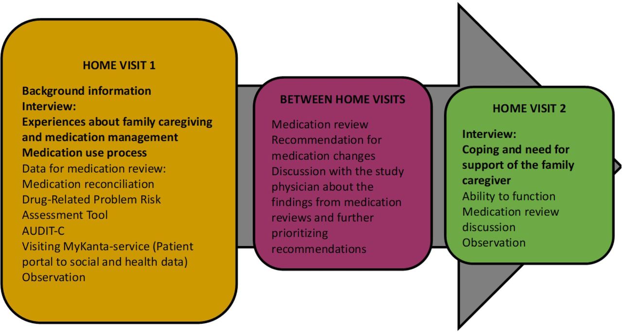 Caregivers’ challenges in engaging with the health system to optimise ...