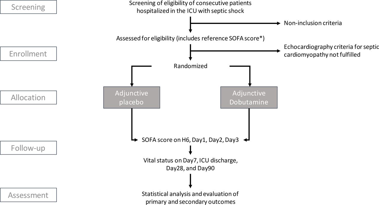 Adjunctive dobutamine in patients with septic cardiomyopathy and tissue ...