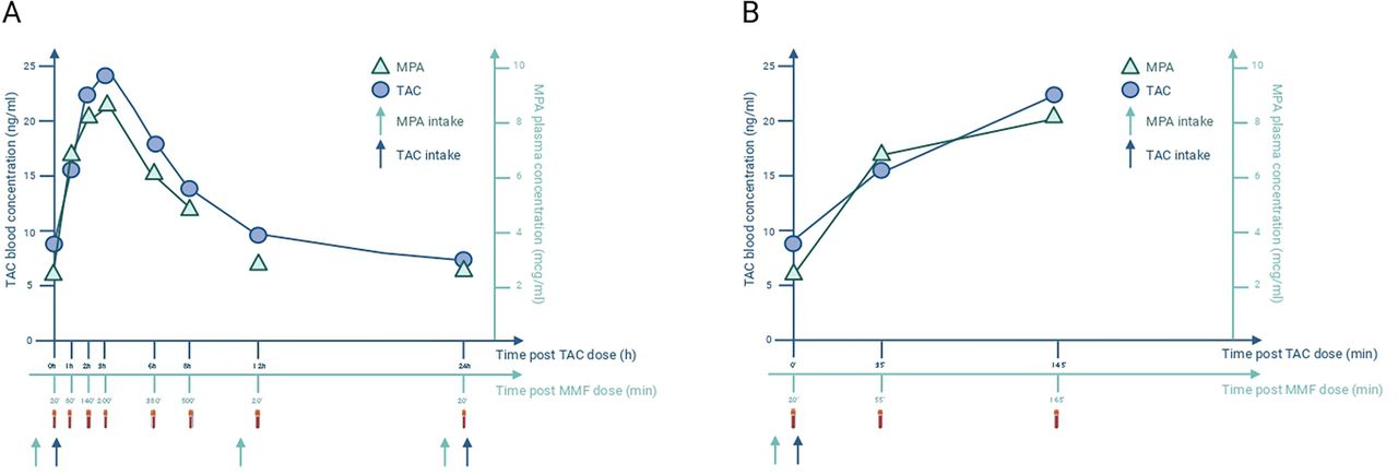 ElucidatiNg Immunosuppressant pharmacokinetic variabilities by ...